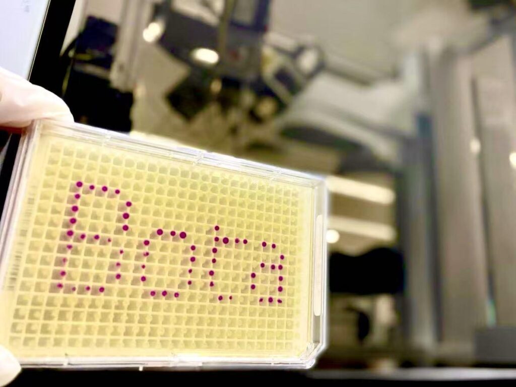 About Bota – Bota Biosciences